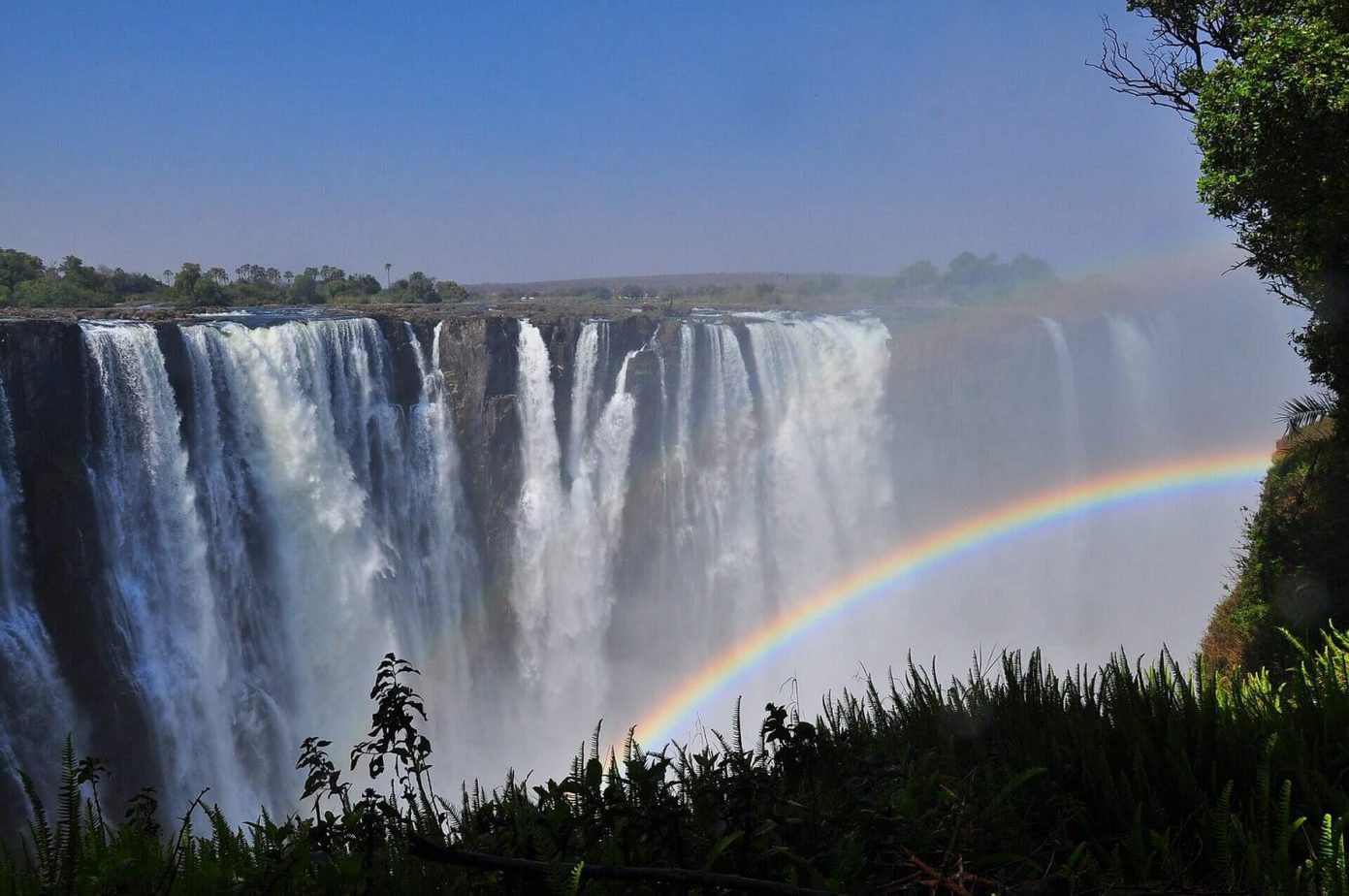 11 Exciting Ecotourism Activities Around The World!