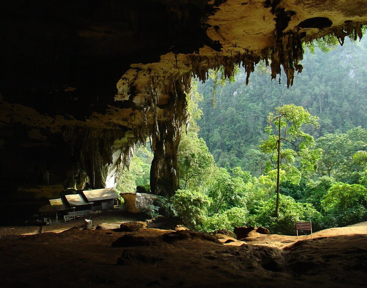 11 Exciting Ecotourism Activities Around The World!