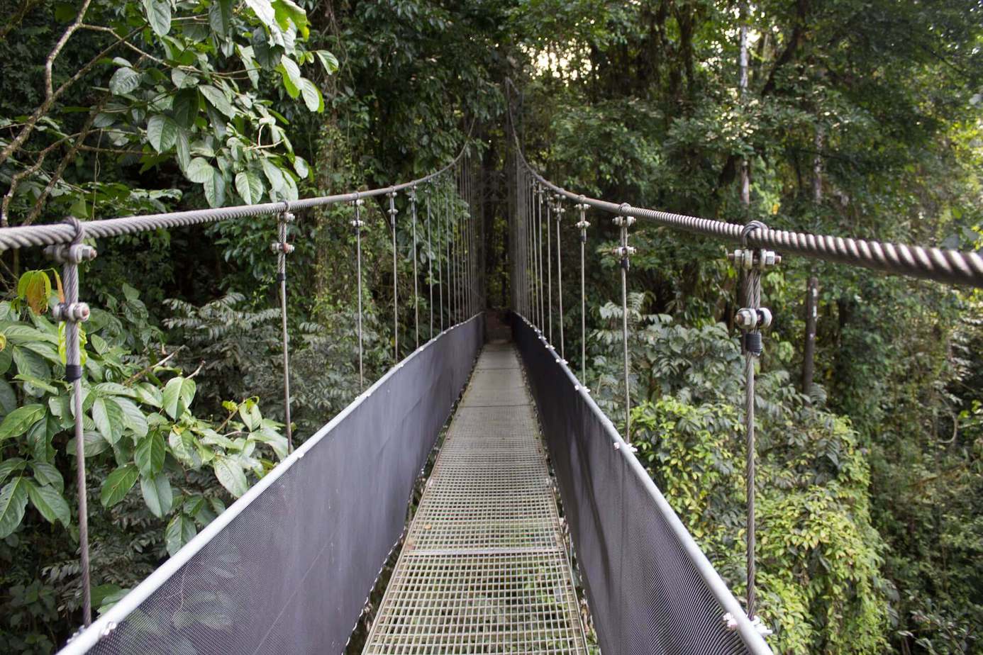 11 Exciting Ecotourism Activities Around The World!