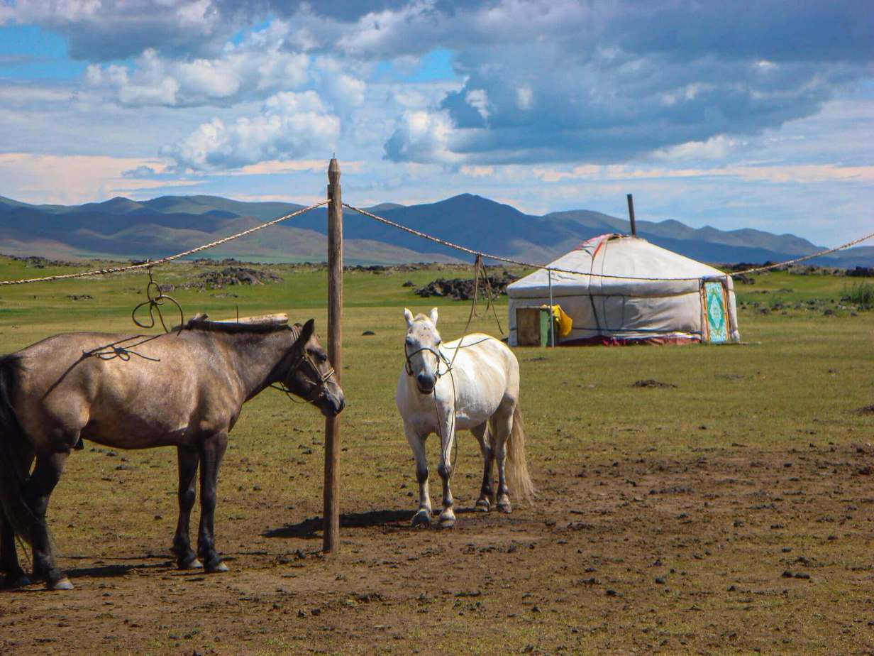 11 Exciting Ecotourism Activities Around The World!