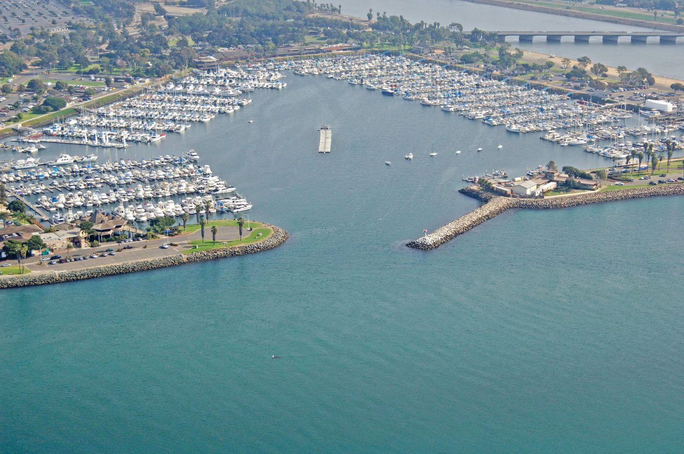 A Champion's Guide To Paddle Boarding At Mission Bay
