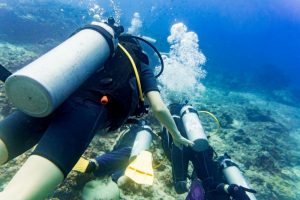 Best Scuba Diving In Key West For 2022 - Women Wandering Beyond