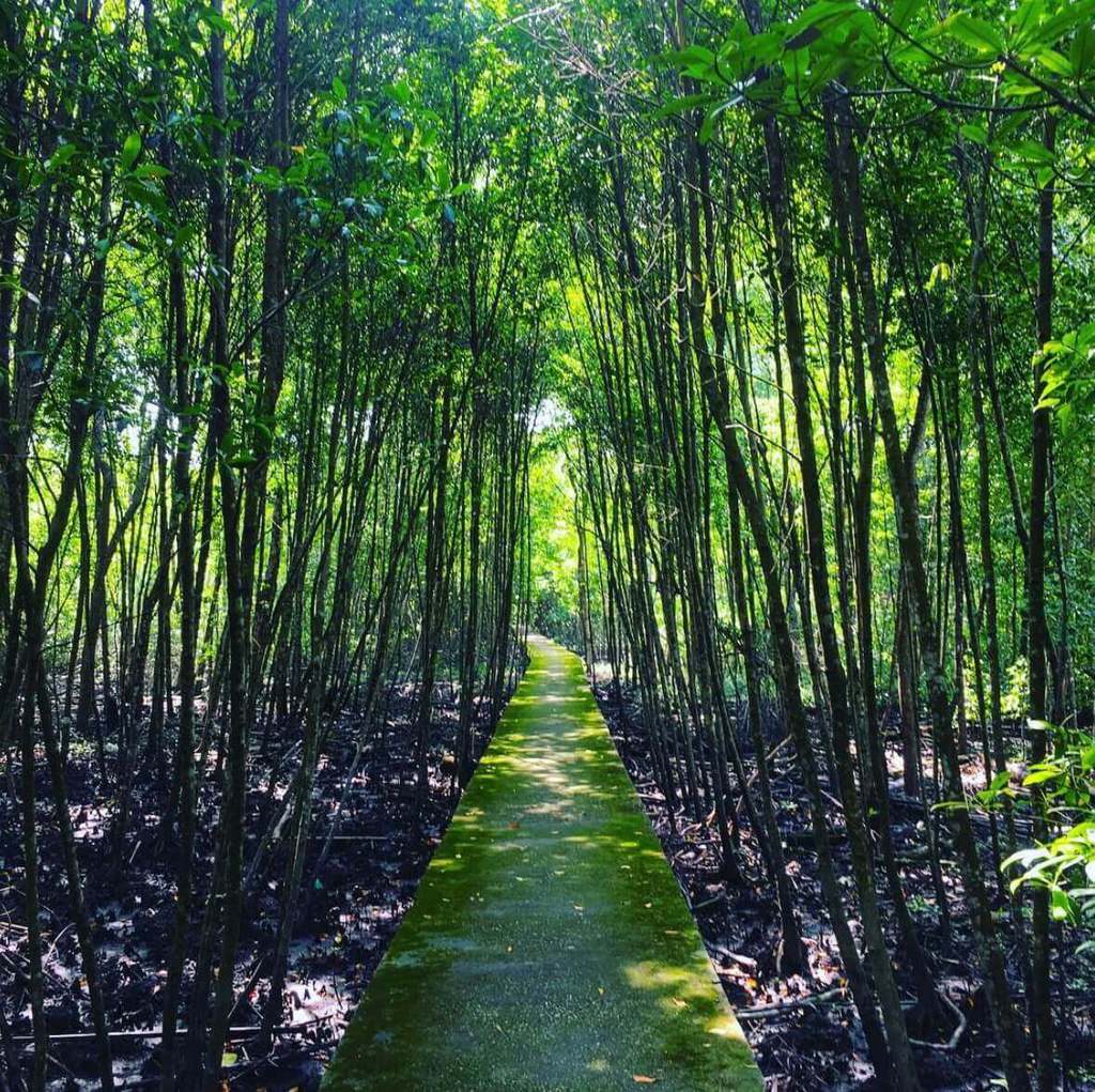 13 Best Parks in Selangor in 2023