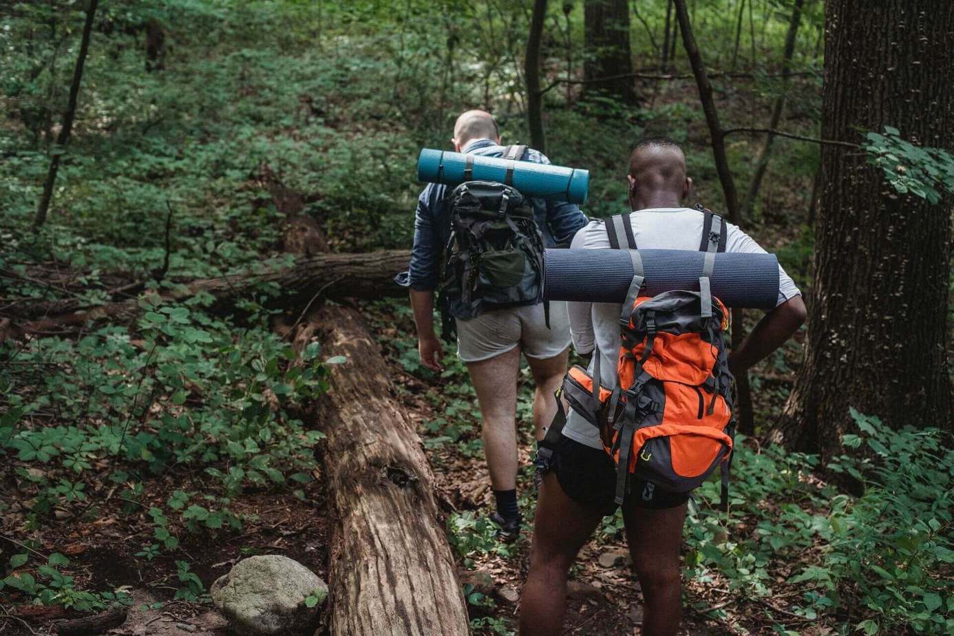 21 Types of Hikers : Which One Are You and Why It Matters!