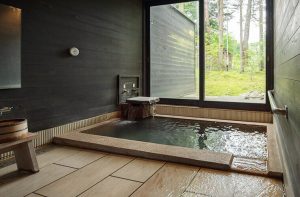23 Mixed Onsens in Japan With Prices and Directions!