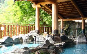 23 Mixed Onsens in Japan With Prices and Directions!