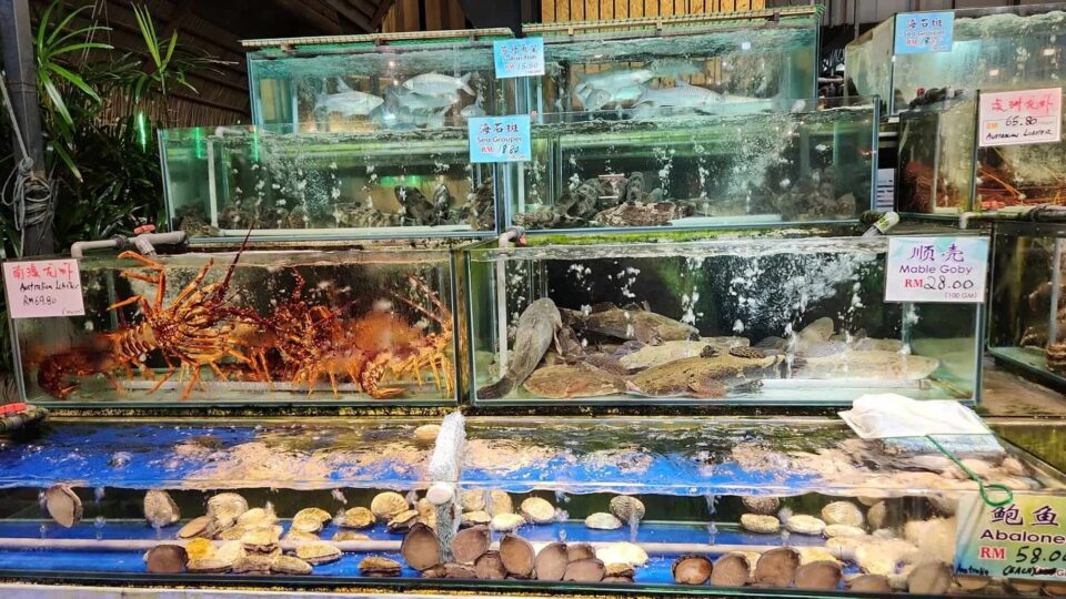 25 Seafood In Penang Spots [+Prices and Halal Options!]