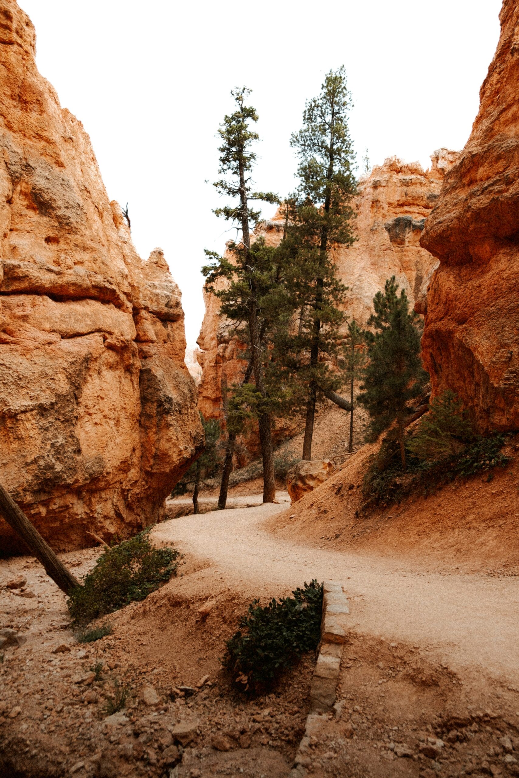 37 Fun Places To Travel With Friends (Budget Friendly!)